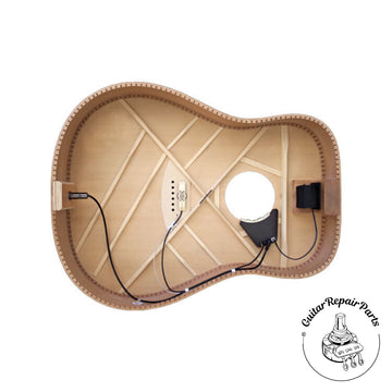 L.R. Baggs Acoustic Guitar Pickups, Preamps, and Components ...